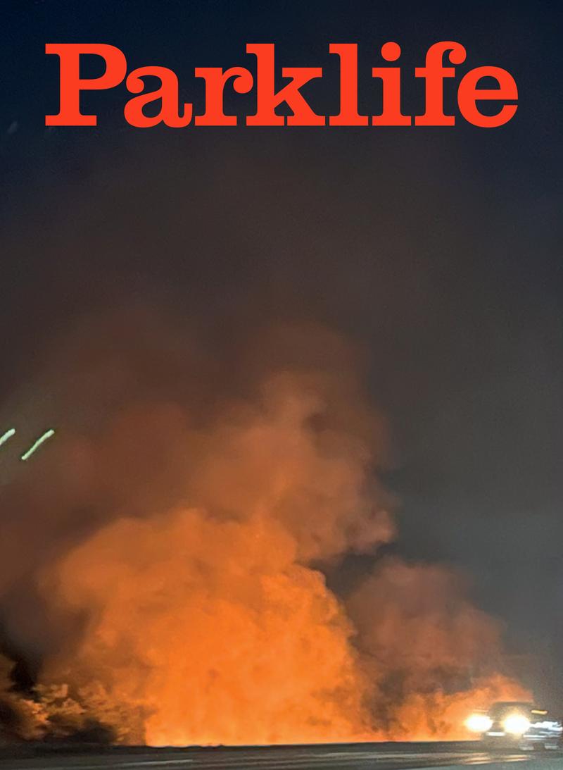 Parklife #2 – Issues Magazine Shop