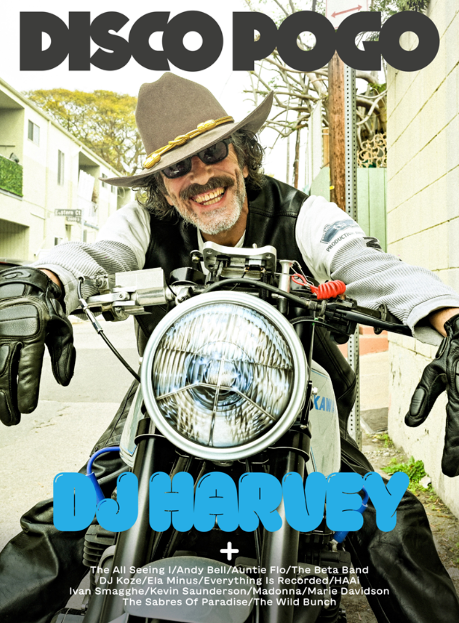 Disco Pogo #07 – Issues Magazine Shop